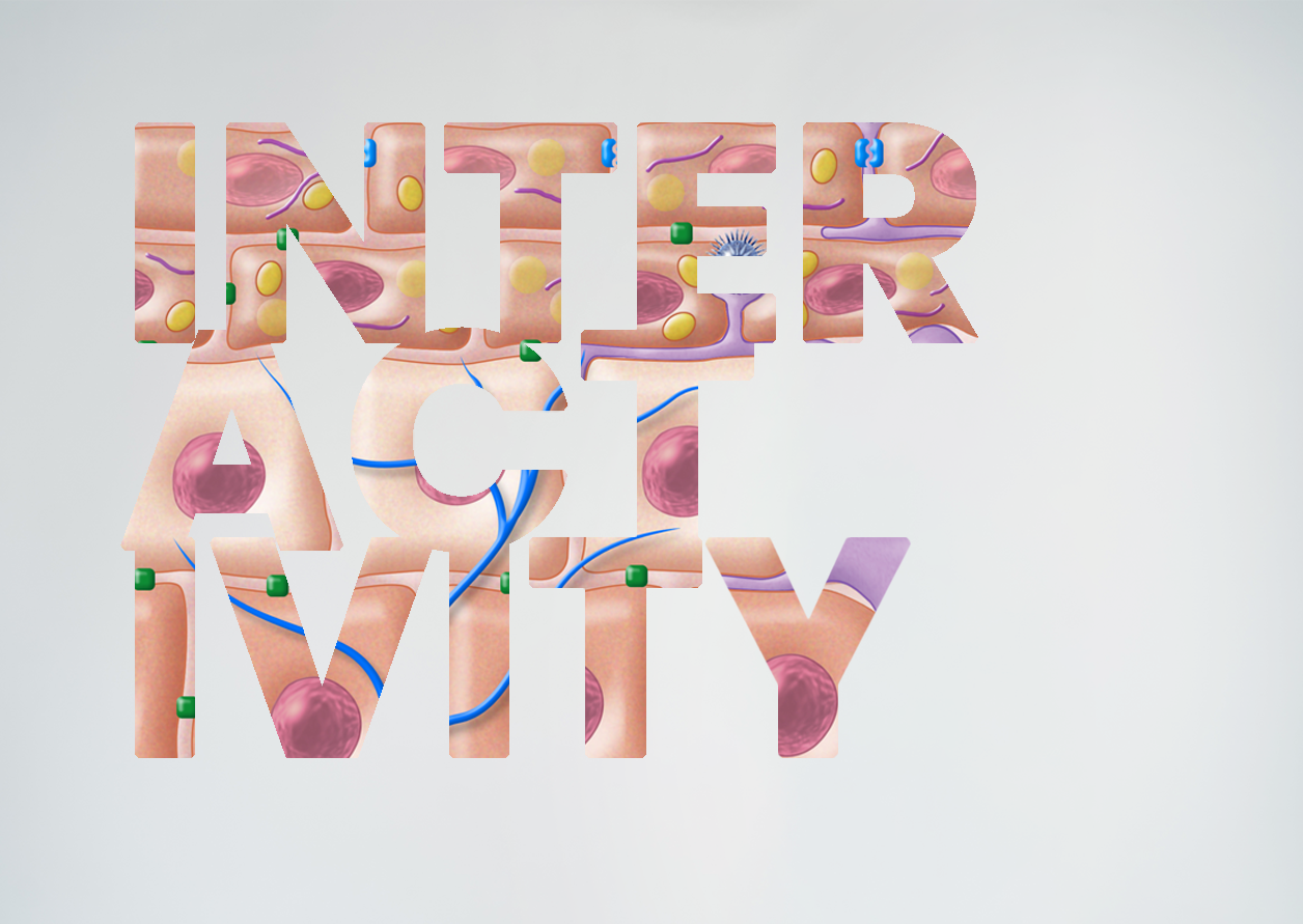 Diagnosis of Bullous Pemphigoid Interactive Patient Case